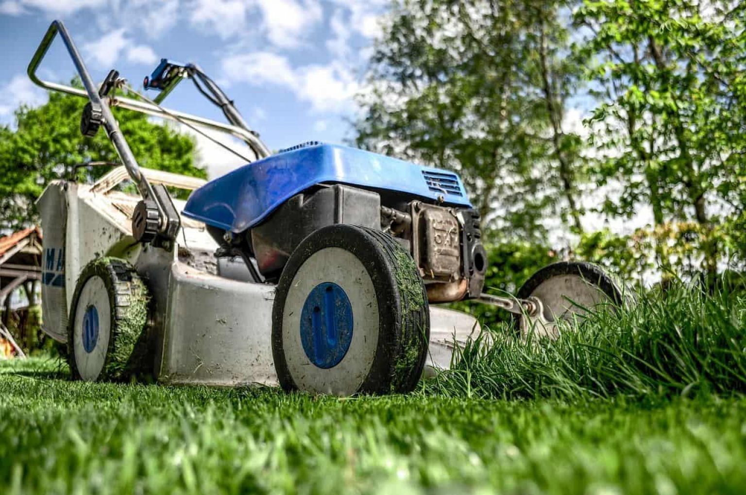 Top 10 Lawn Care Products - Explained everything in Detail