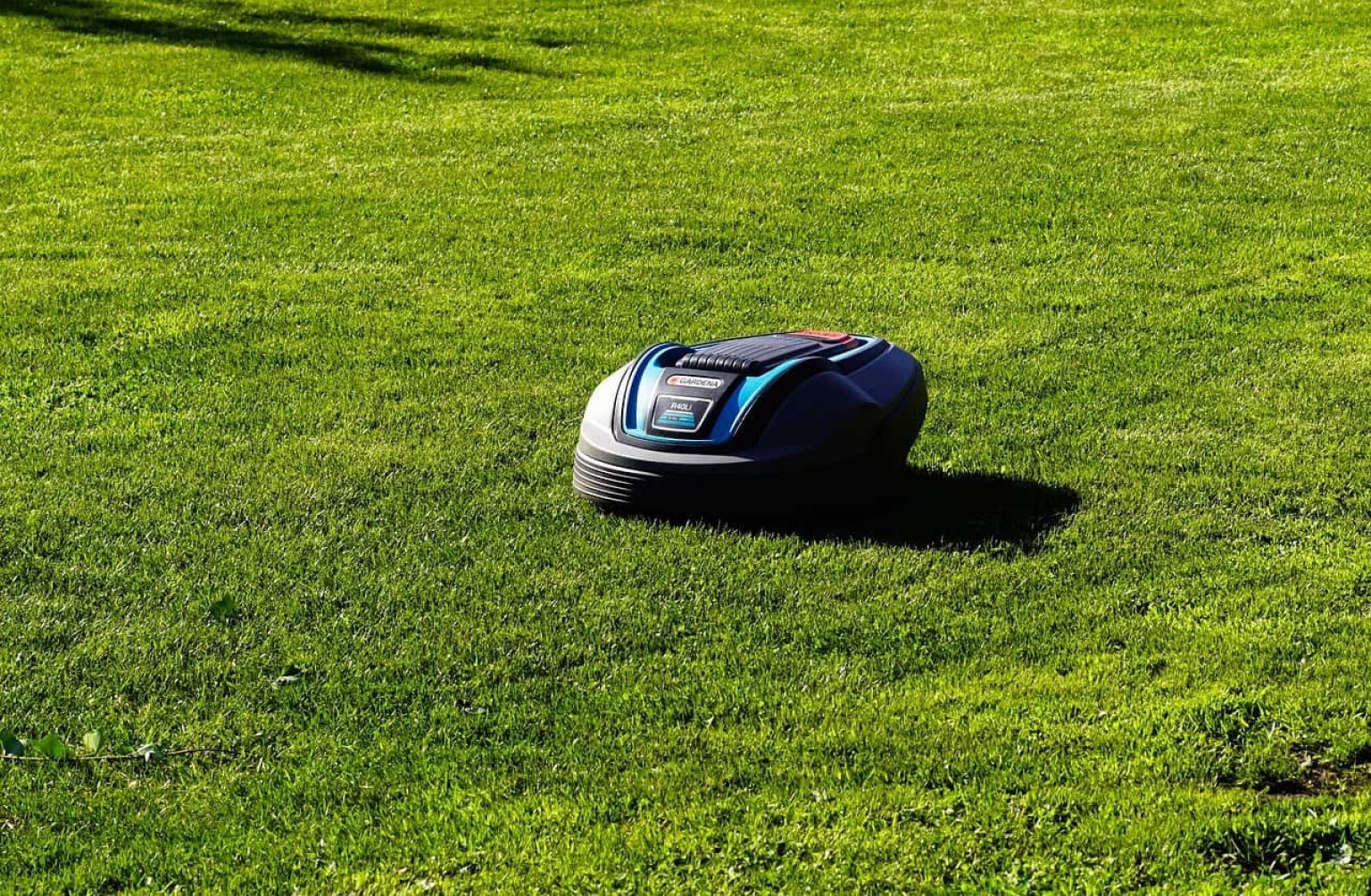 Top 10 Lawn Care Products - Explained everything in Detail