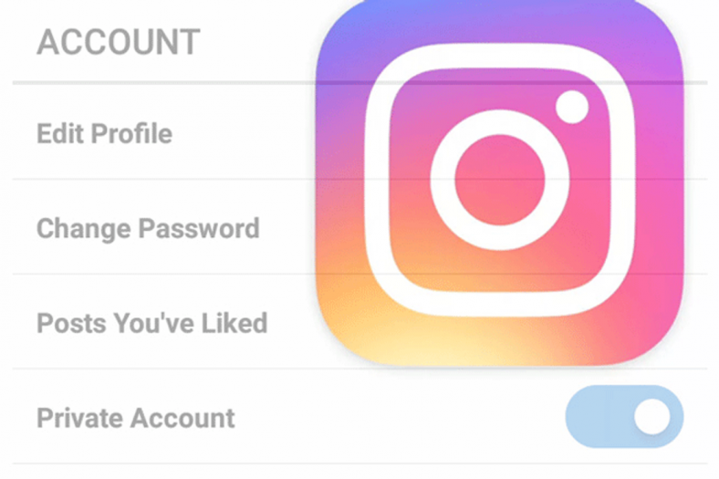 How To See Private Instagram Accounts 2023 Guide WebSta ME how-to-see-private-instagram-accounts-2023-guide-websta-me