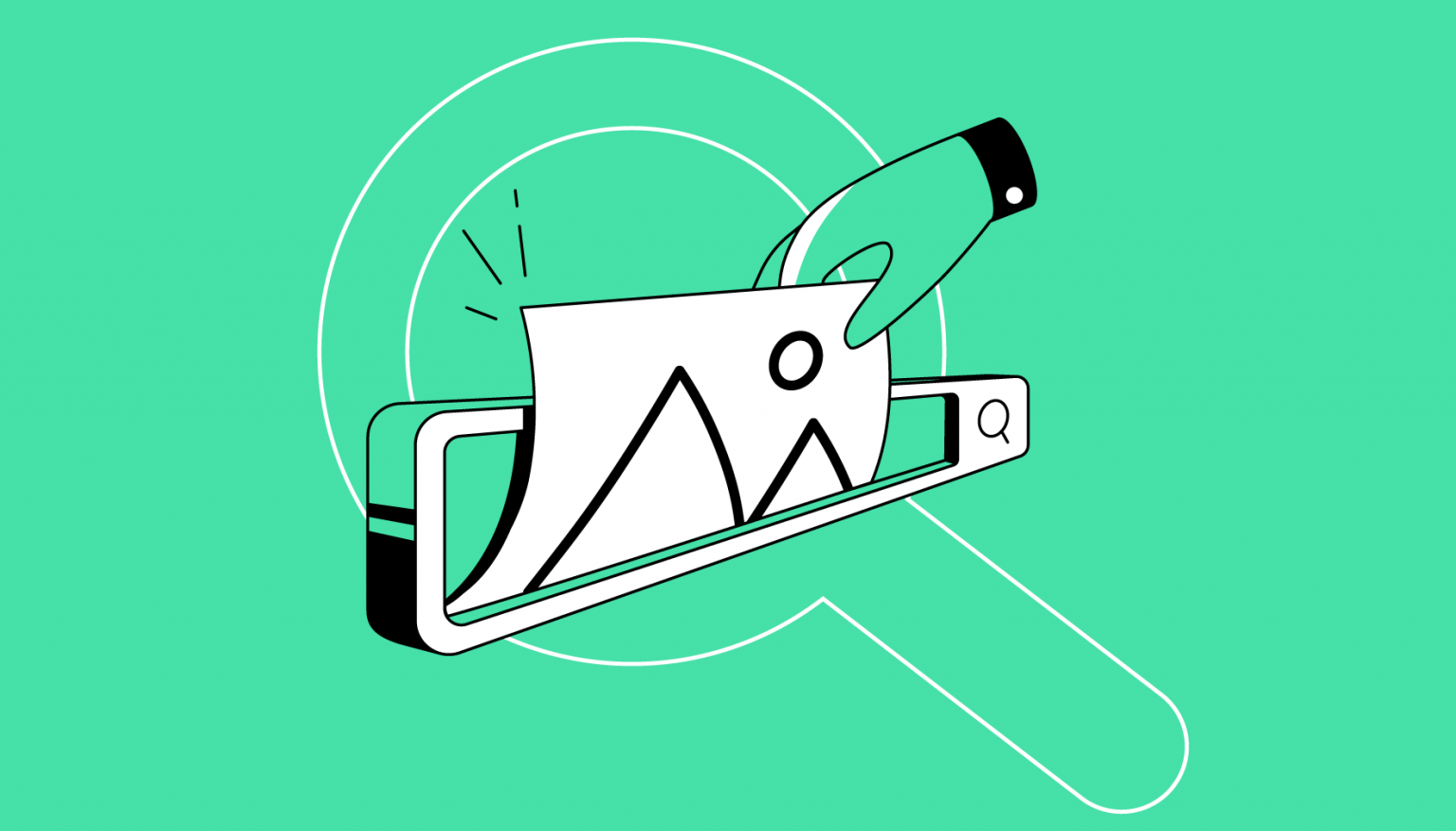 How do Reverse Image Search Works? - 2024 Guide - WebSta.ME