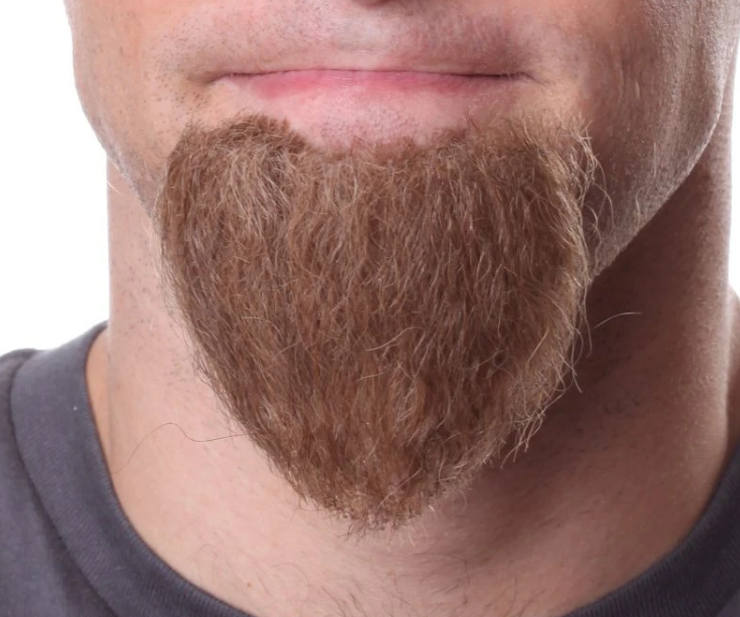 9 Fashionable Short Beard Styles to Try in 2024 - WebSta.ME