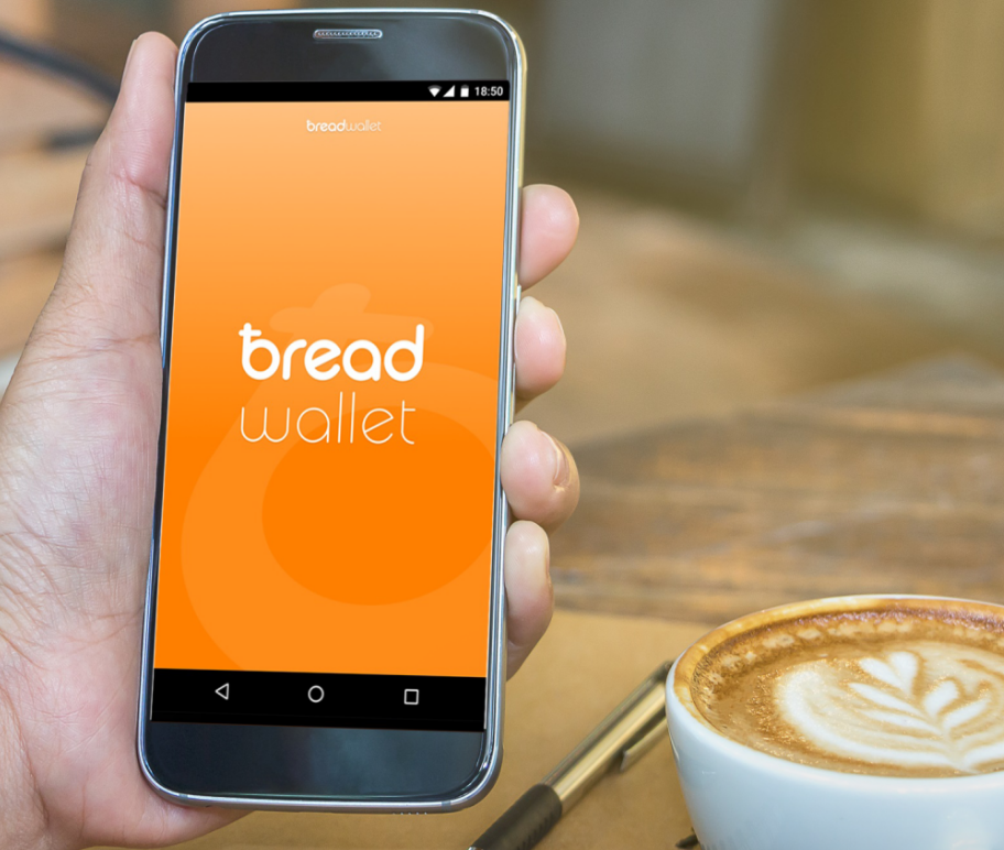 8 Best Cryptocurrency Wallets in 2024 - WebSta.ME