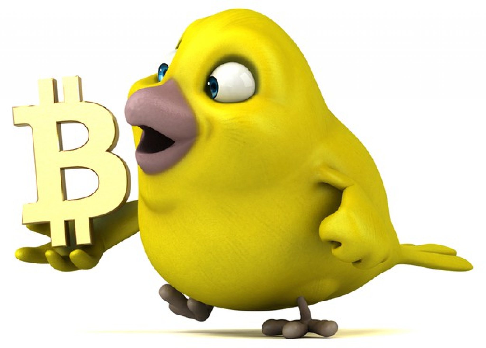 A Bit of Bitcoin Fun and Practice - WebSta.ME