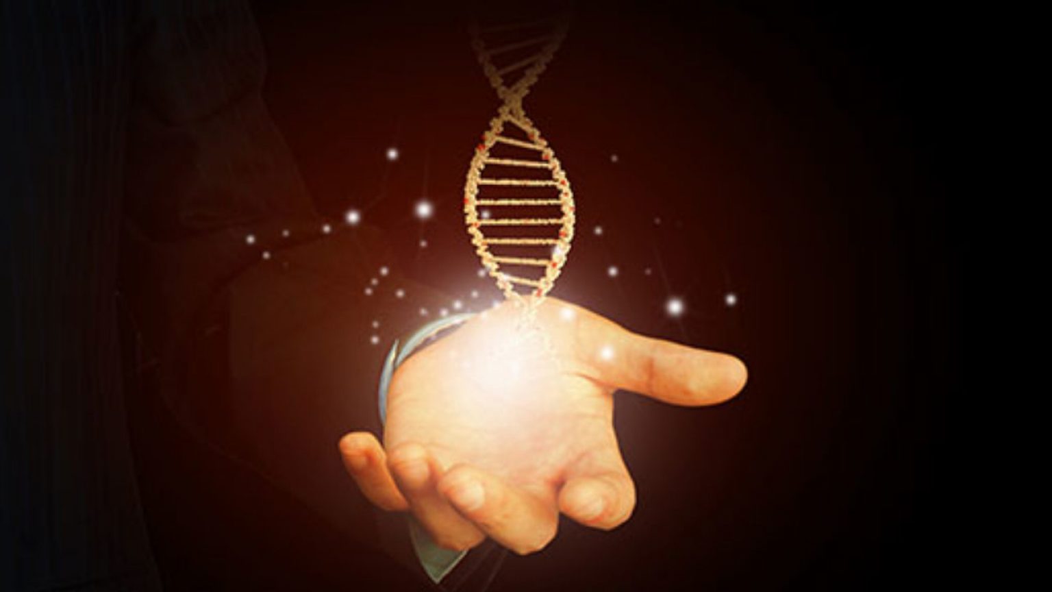 A Short Guide To The Future Of Cloning - WebSta.ME