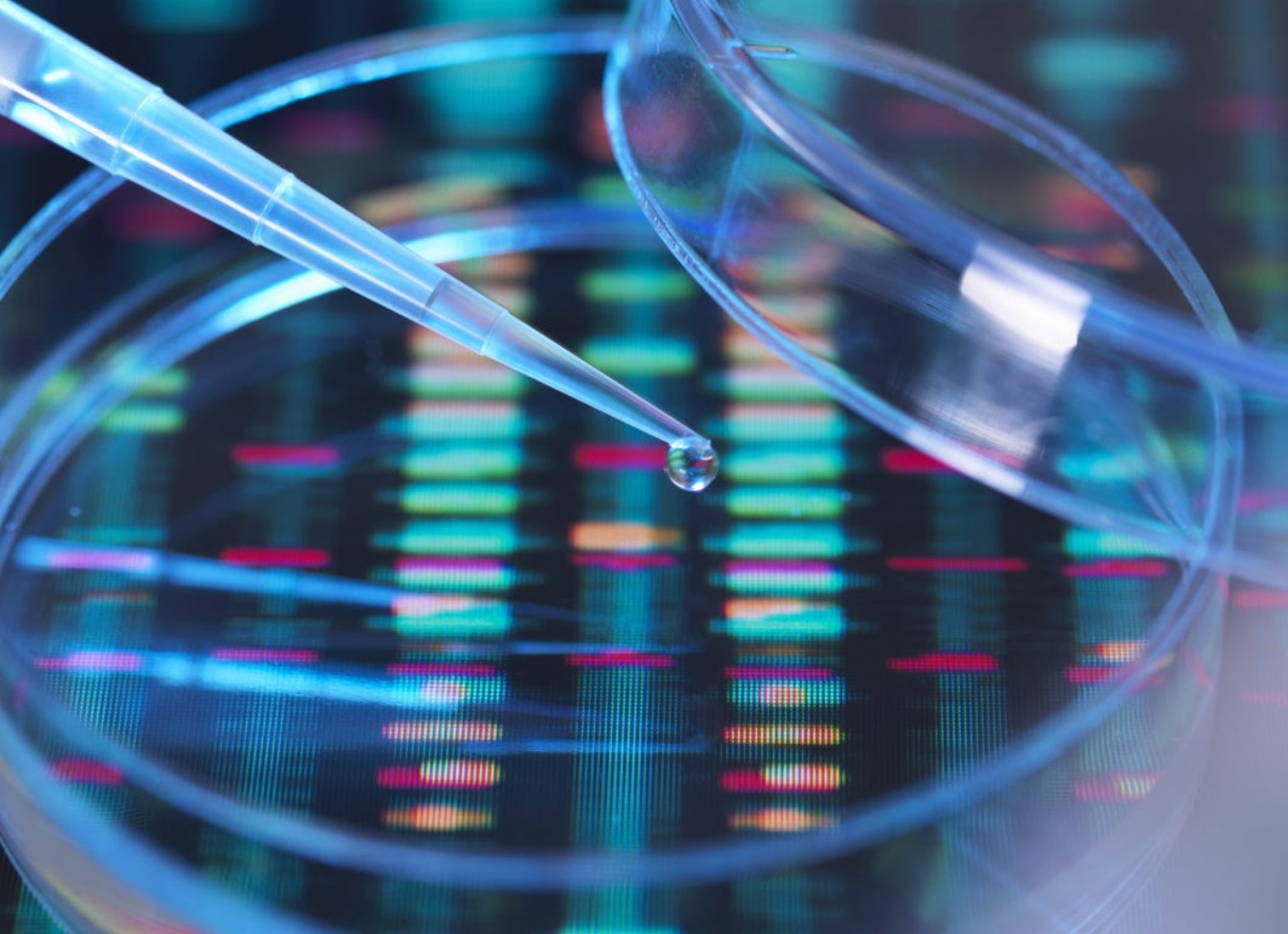 A Short Guide To The Future Of Cloning - WebSta.ME