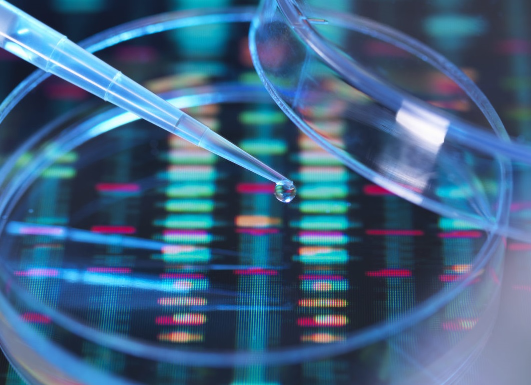 A Short Guide To The Future Of Cloning - WebSta.ME