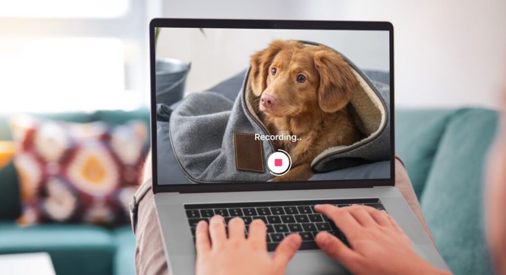 The Therapeutic Benefits of Watching Animal Videos for Mental Health ...