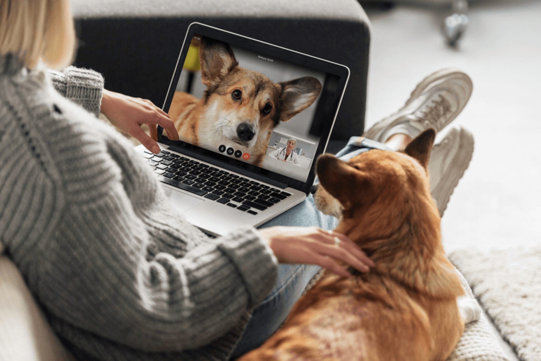 The Therapeutic Benefits of Watching Animal Videos for Mental Health ...