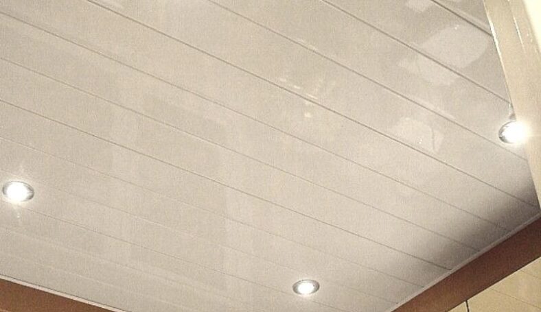 Bathroom Ceiling Panels: A Complete Guide - WebSta.ME