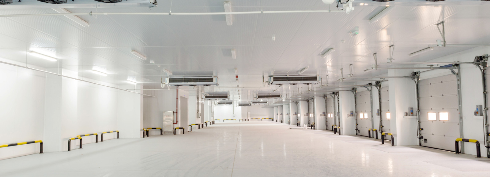 4 Cold Storage Solutions for Perishable Goods - WebSta.ME