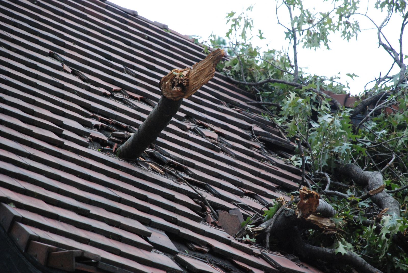 How to Spot Early Signs of Roof Damage: A Checklist for Homeowners ...