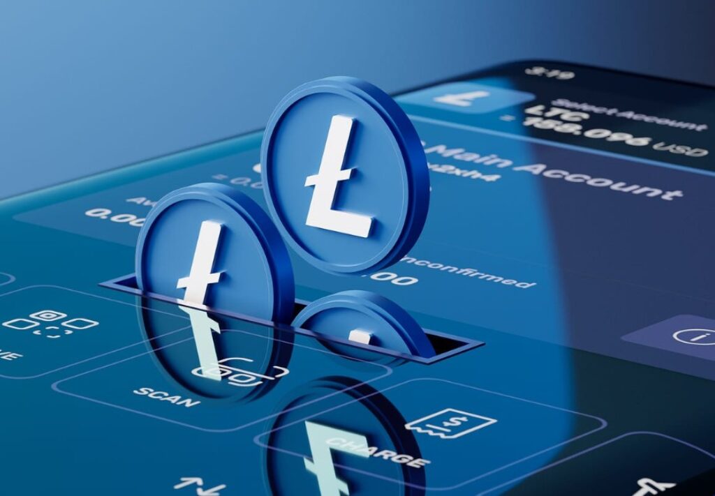 LTC Payment Method Explained ─ All You Need to Know - WebSta.ME